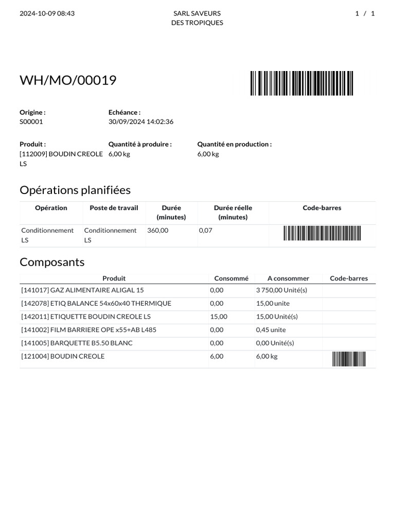 Ordre de fabrication - WH_MO_00019 | PDF