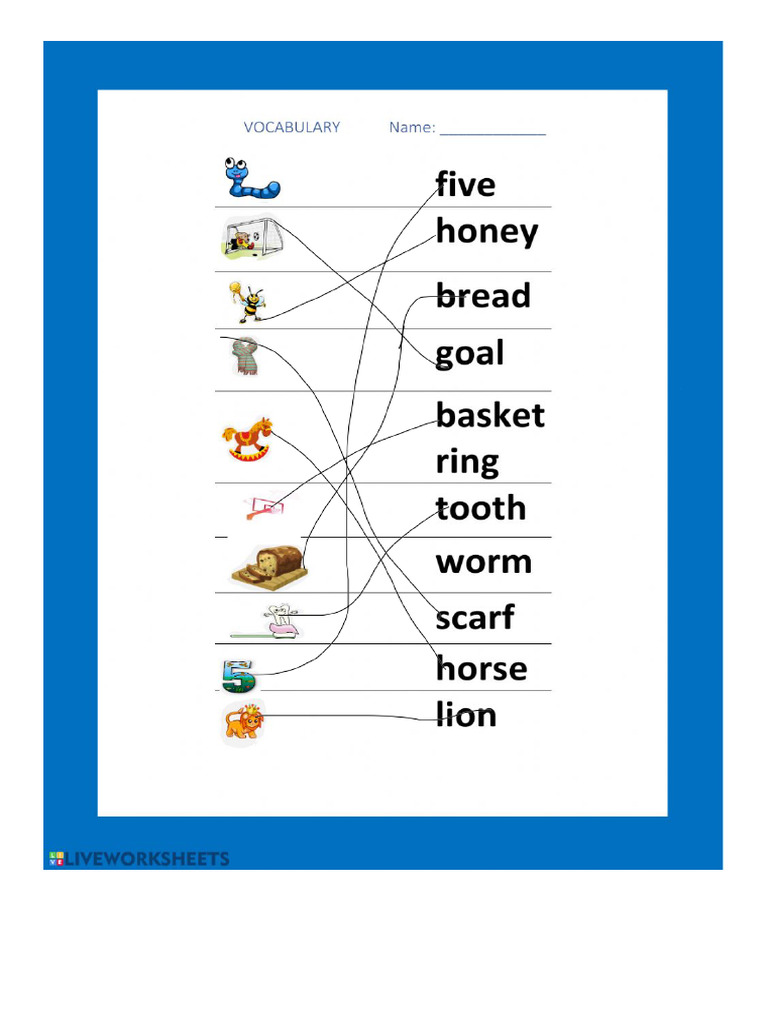 Basic Vocabulary 2 | PDF