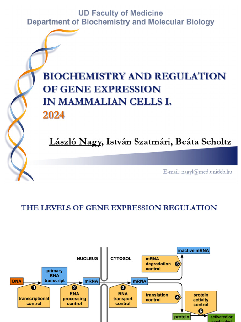 01_01_BIOCHEM_Gene Expr_I_EN_2024 | PDF