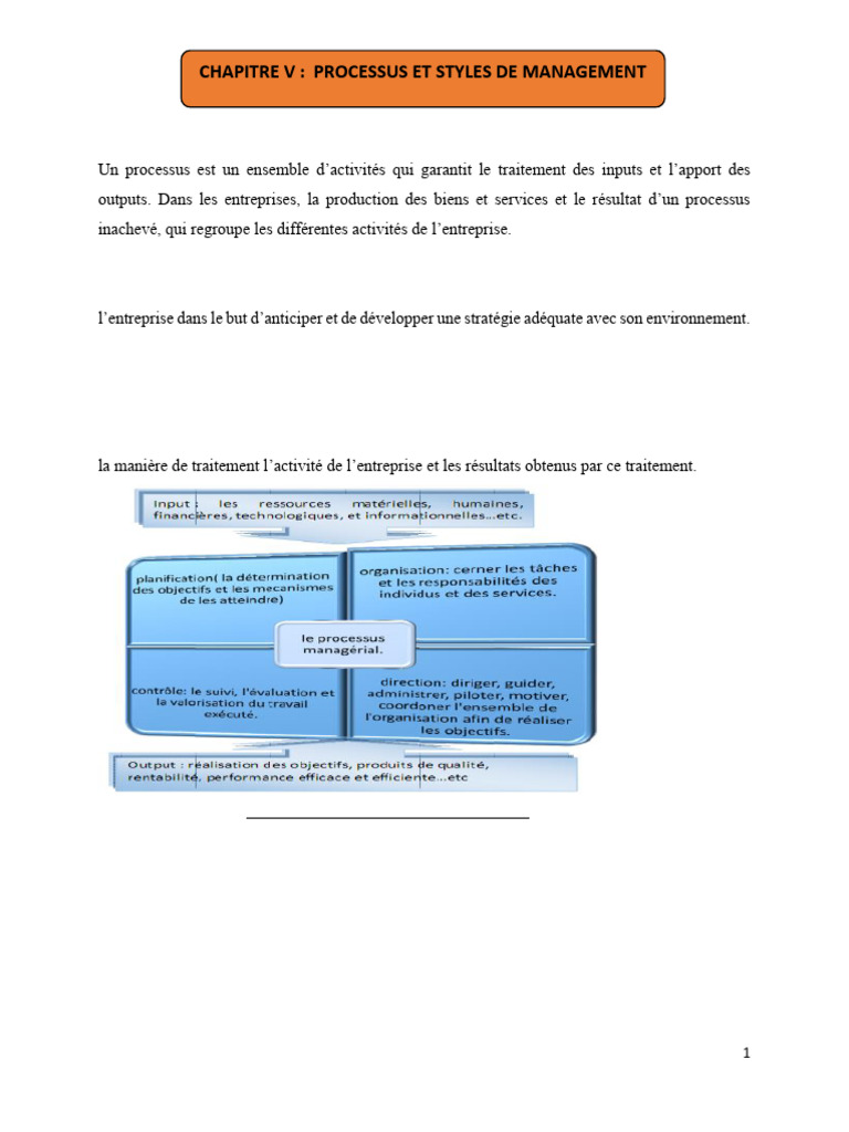 Chap 5 Processus Management Et Style de Management | PDF