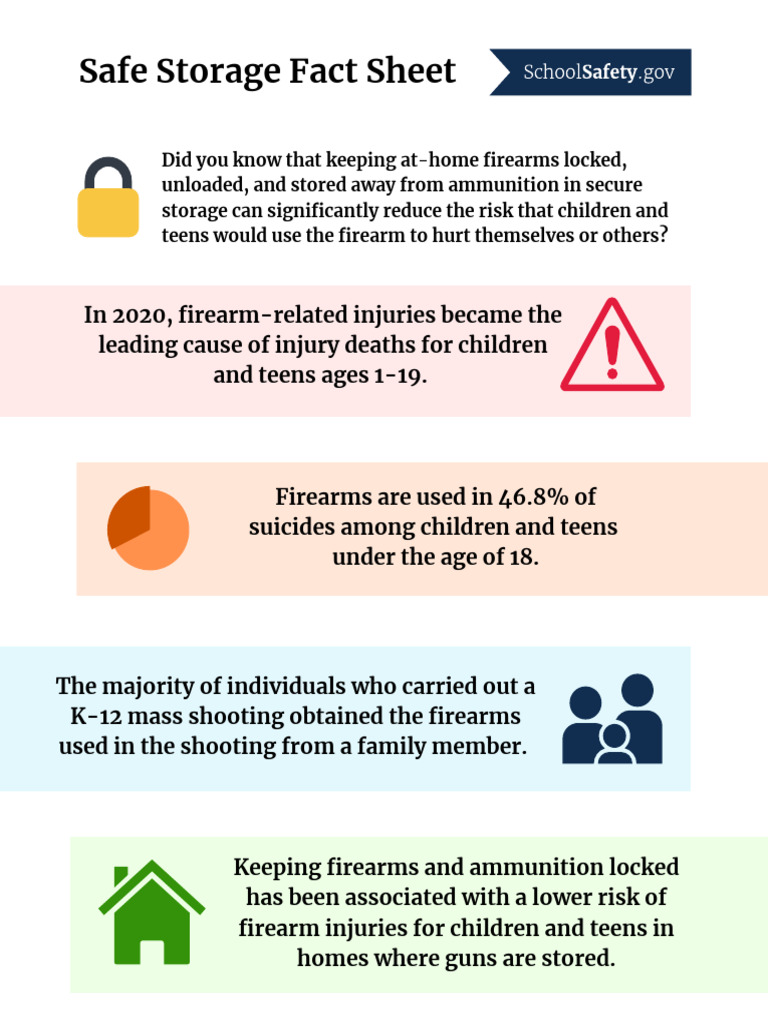 Safe Storage Fact Sheet | PDF