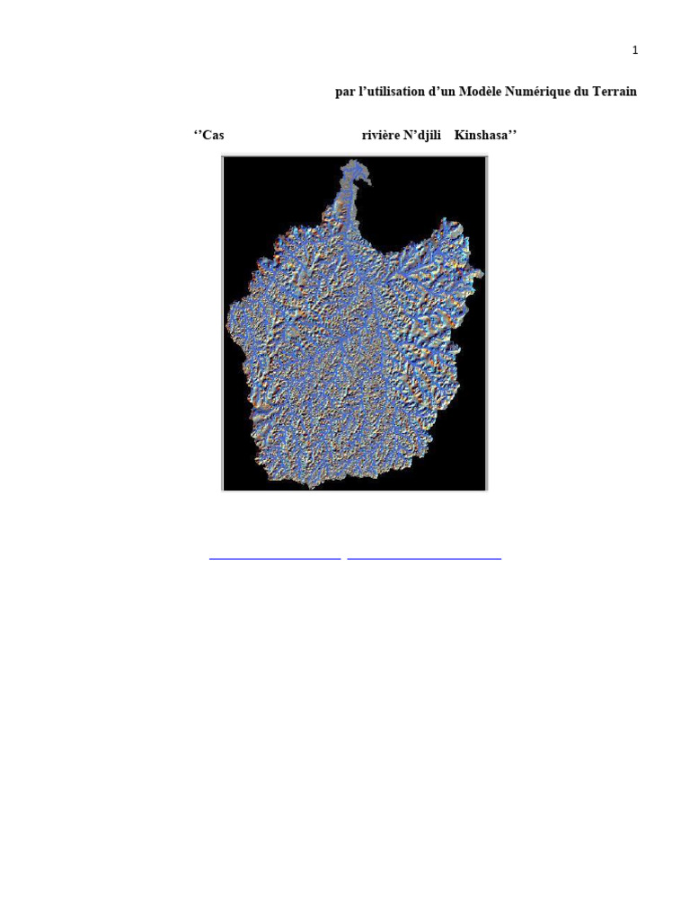 DEM Tutorial Hydrologie | PDF