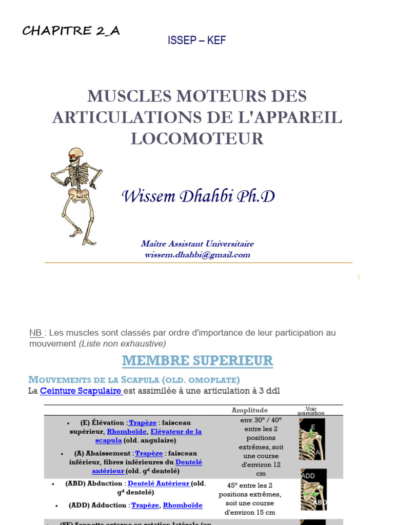 Cin Ch2a | PDF | Human Anatomy | Musculoskeletal System