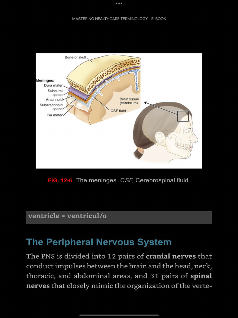 Medical Terminology | PDF