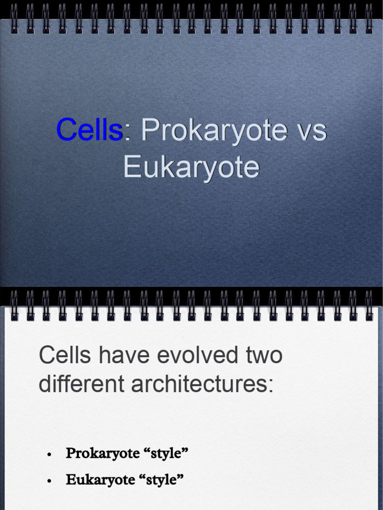 Prokaryotes Vs Eukaryotes Powerpointpptx Pdf 1618
