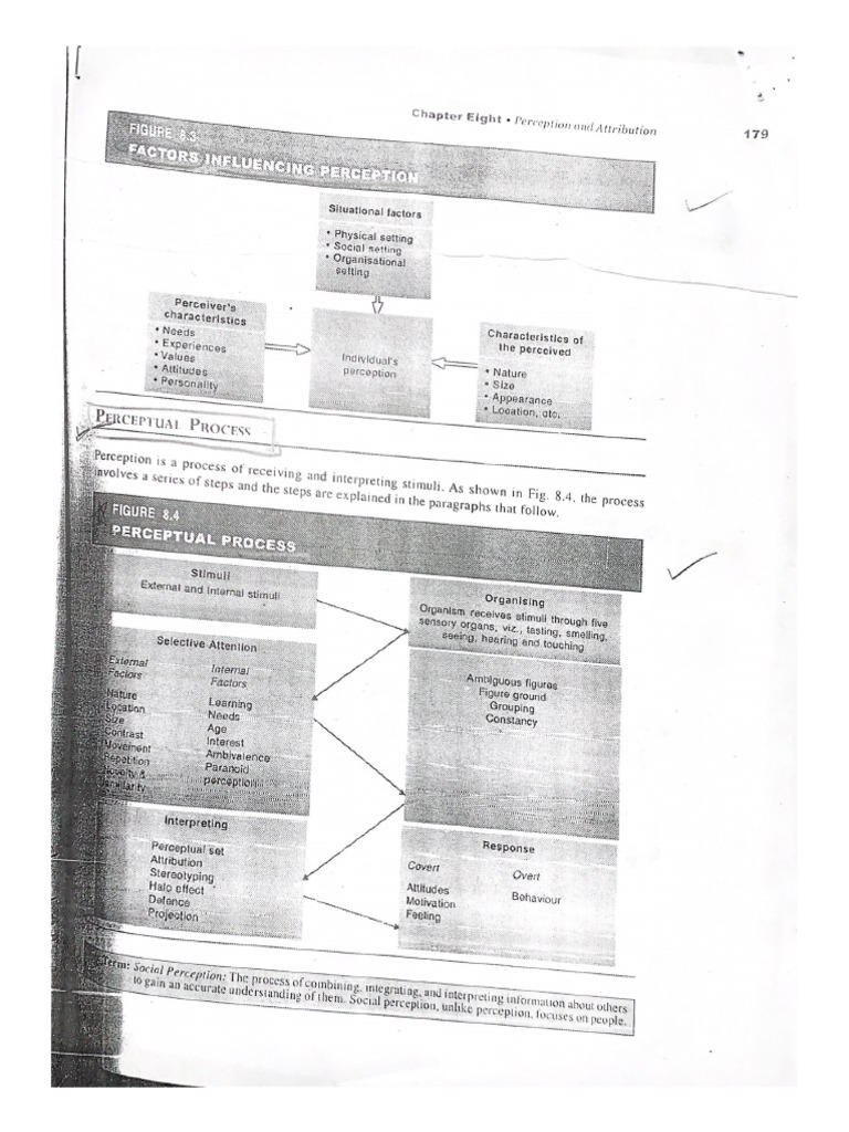 Perceptual Process | PDF