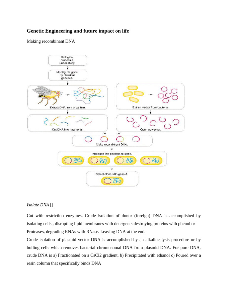 Genetic Engineering Lecture Notes | PDF | Dna | Science & Mathematics
