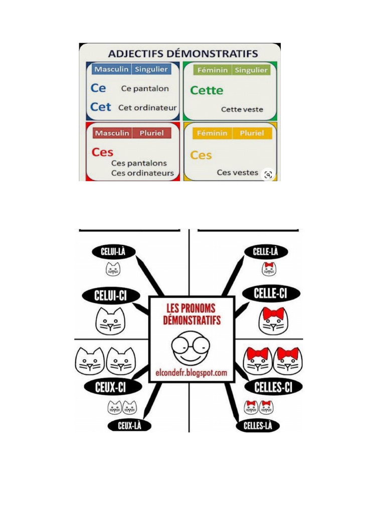 Adjectifs Et Pronoms Démonstratifs. Grammaire | PDF