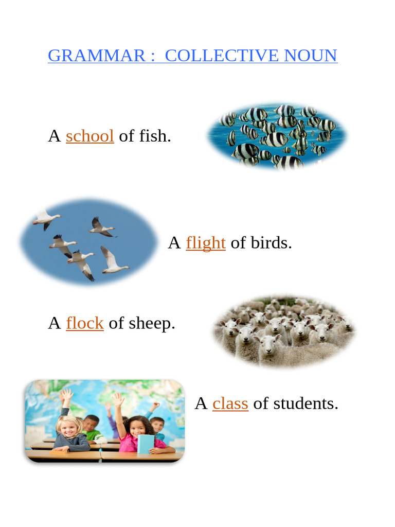 GRAMMAR-collective Noun | PDF