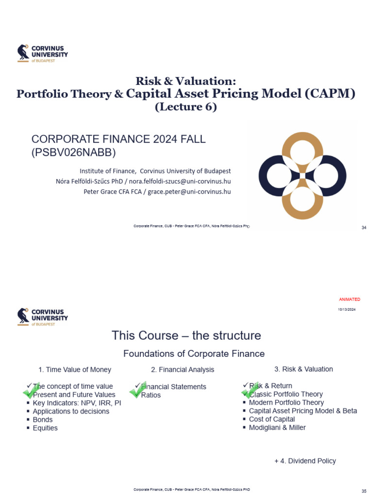 CorpFin 2024 Lec 6 | PDF