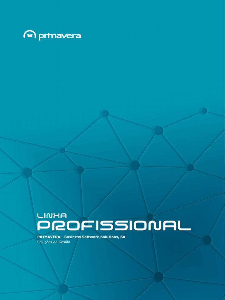 MANUAL DO UTILIZADOR PRIMAVERA - Business Software Solutions | PDF