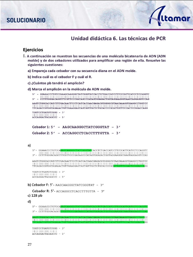 Unidad 6. Las Técnicas de PCR Ej Sol BIO MOLECULAR | PDF