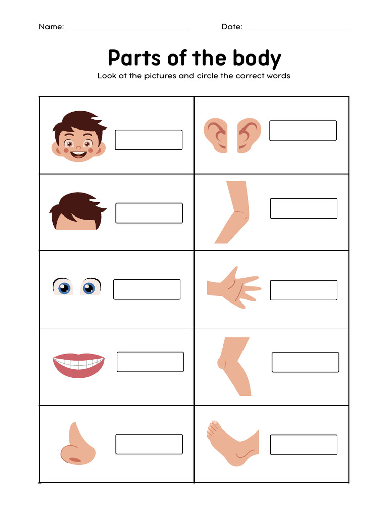 Worksheet Body | PDF