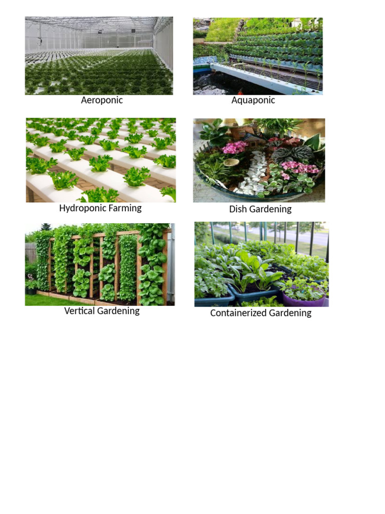 Gardening Pdf