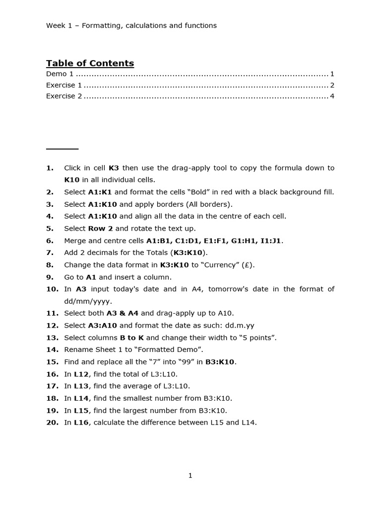 Task Instructions - Formatting and Functions | PDF