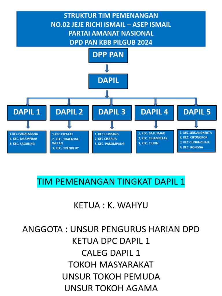 Struktur Tim Pemenangan Pan | PDF
