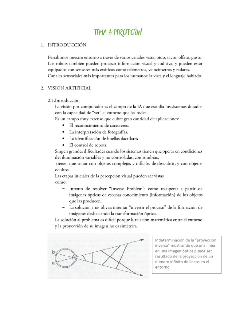 Tema 3 Percepción | PDF