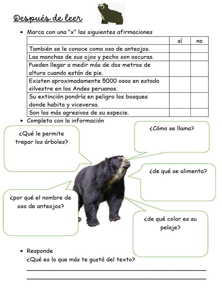 Ficha Del Oso | PDF