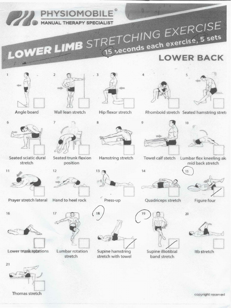 Lower Back | PDF