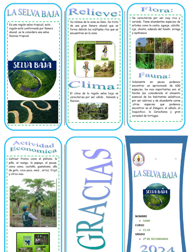 TRIPTICO Selva Baja | PDF