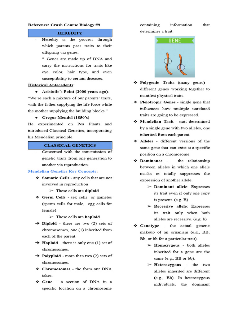 Intro to Heredity & Genetics | PDF | Dominance (Genetics) | Genotype