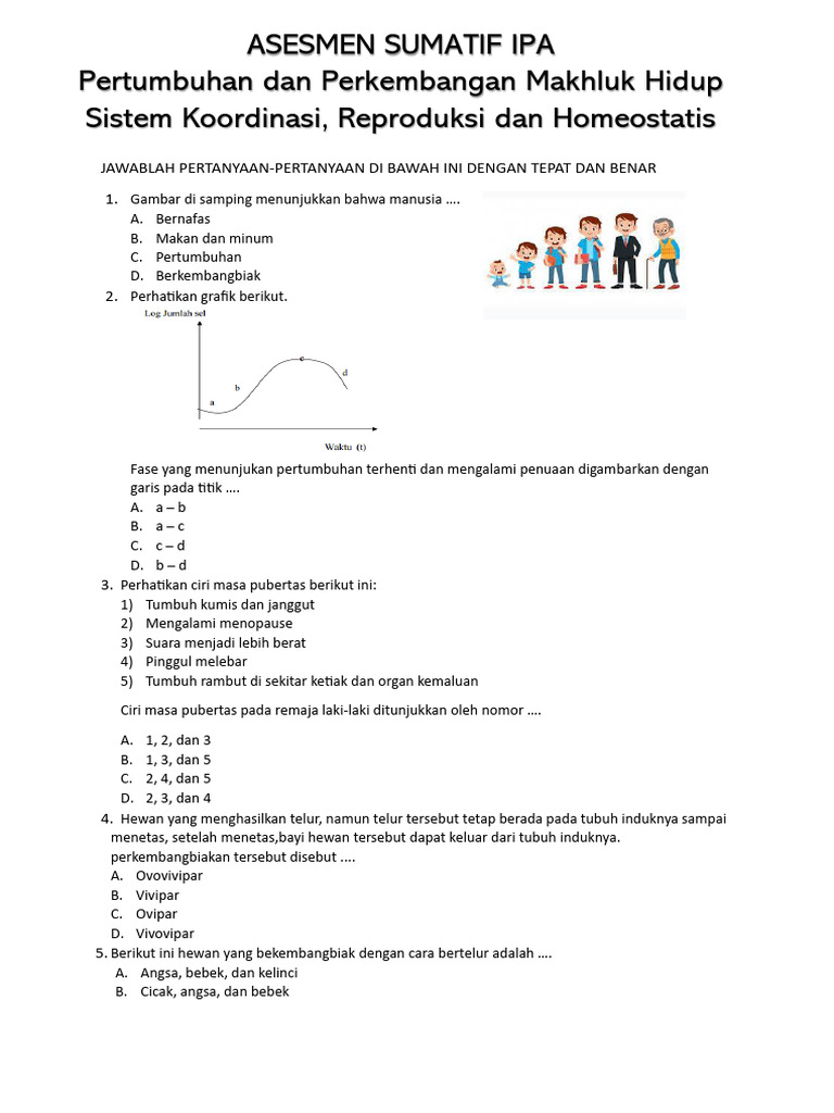 Soal Sumatif Bab 1 Dan 2 New | PDF
