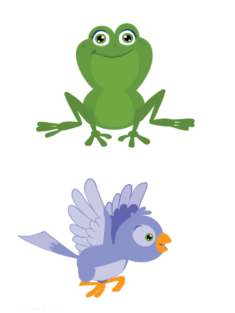 Frog | PDF
