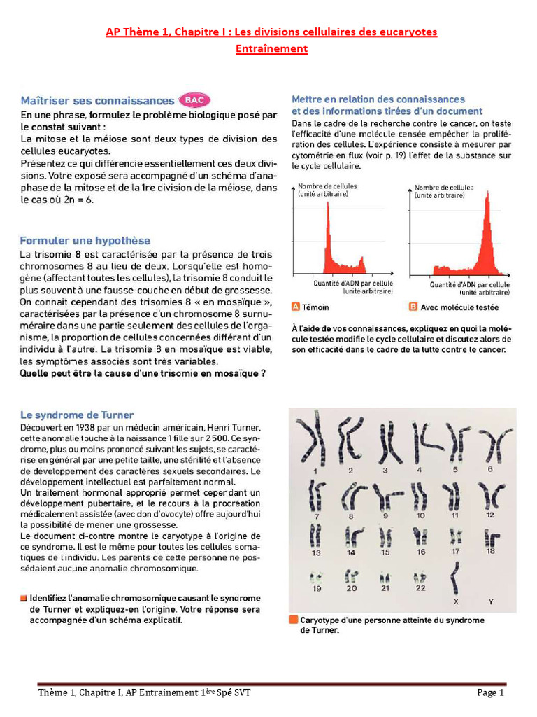 AP Entrainement ThÃ¨me 1 Chap I | PDF