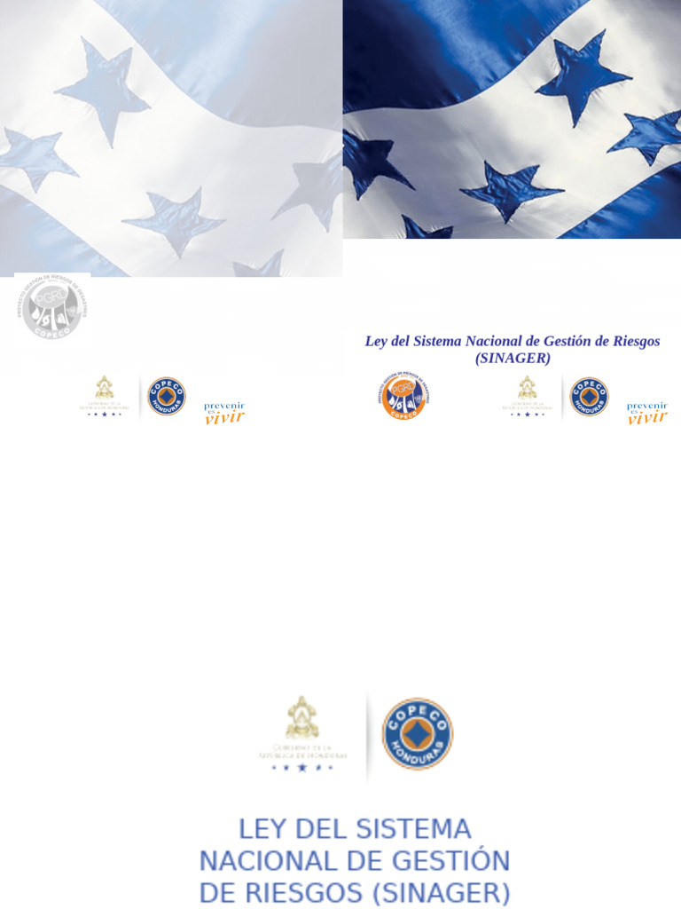 Ley-Sinager-convertido | PDF