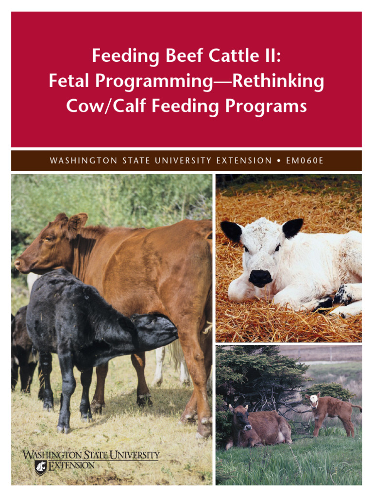 Fetal Programming Beef Cattle EM060E | PDF