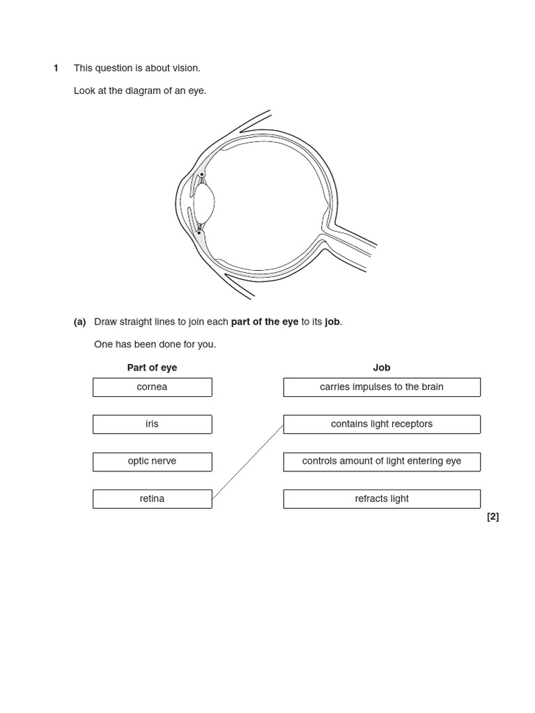 The Eye QP | PDF