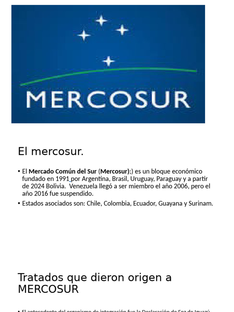 Mercosur | PDF