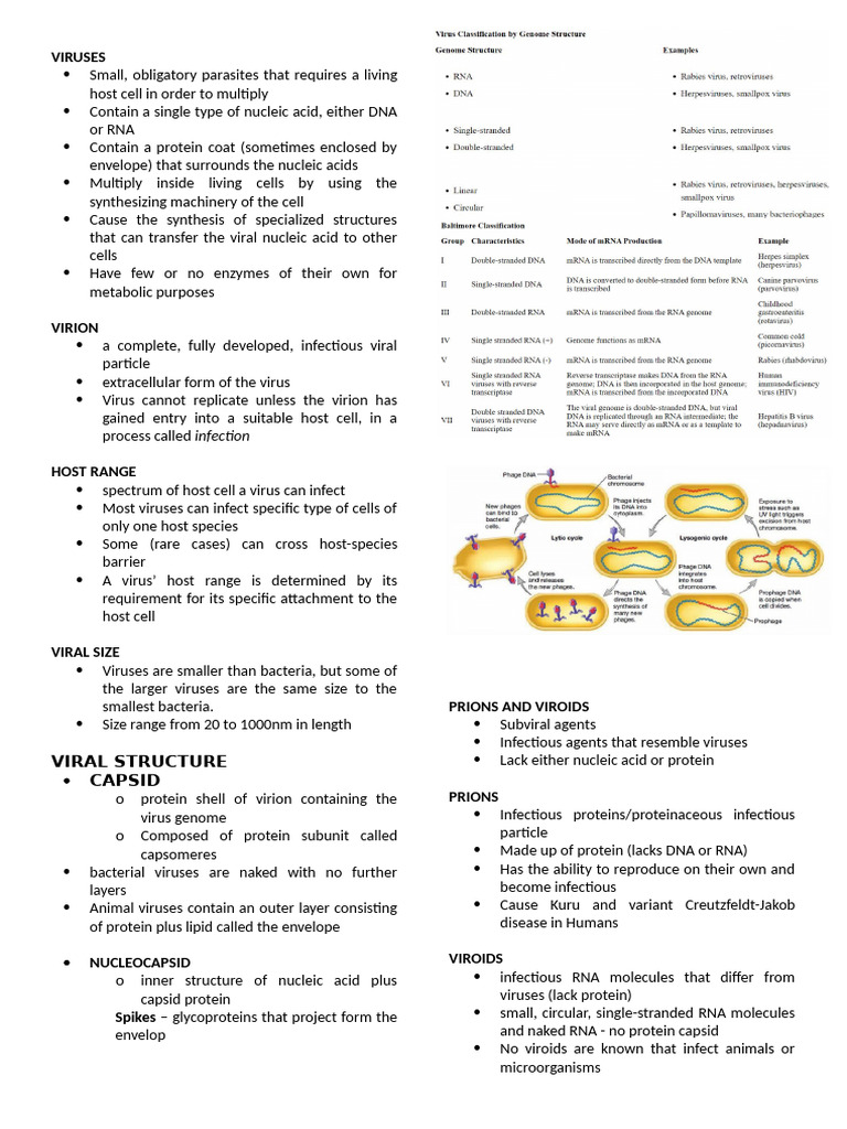 cn lec reviewer | PDF