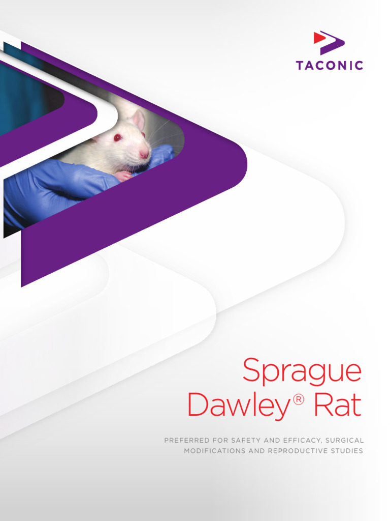 Sprague Dawley Rat | PDF | Laboratory Rat | Wellness
