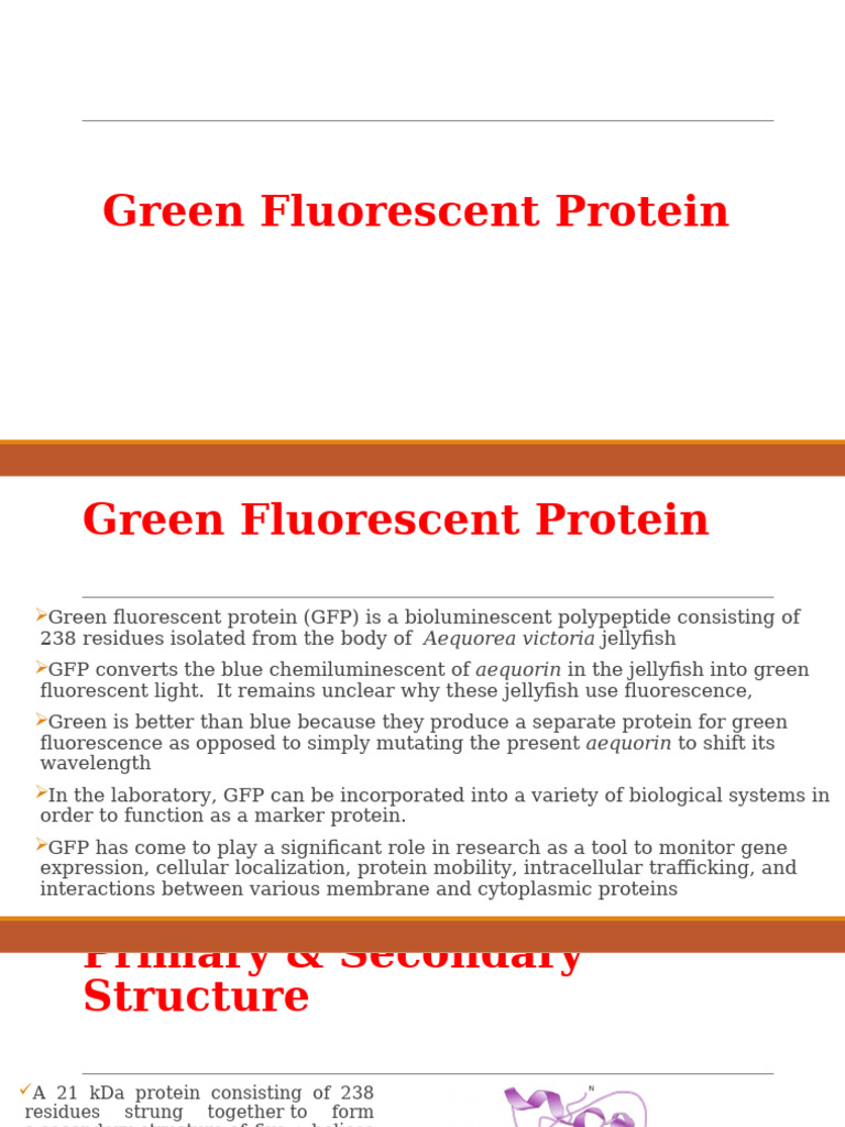 Green Fluorescent Protein | PDF | Green Fluorescent Protein ...