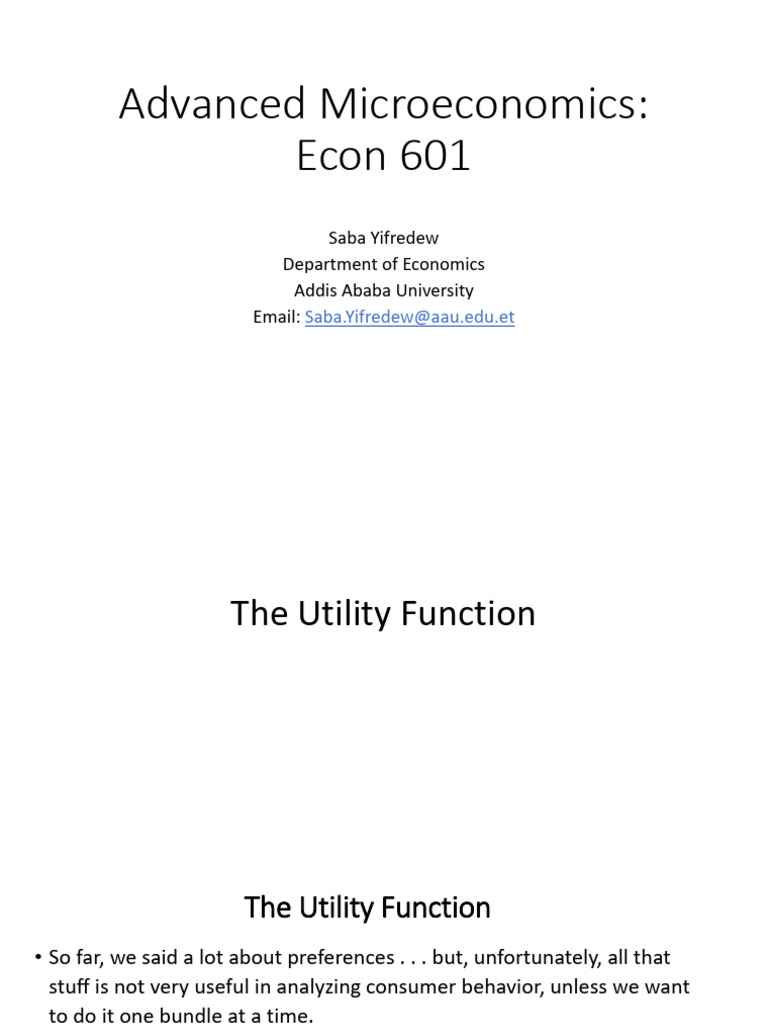 Utility Function | PDF