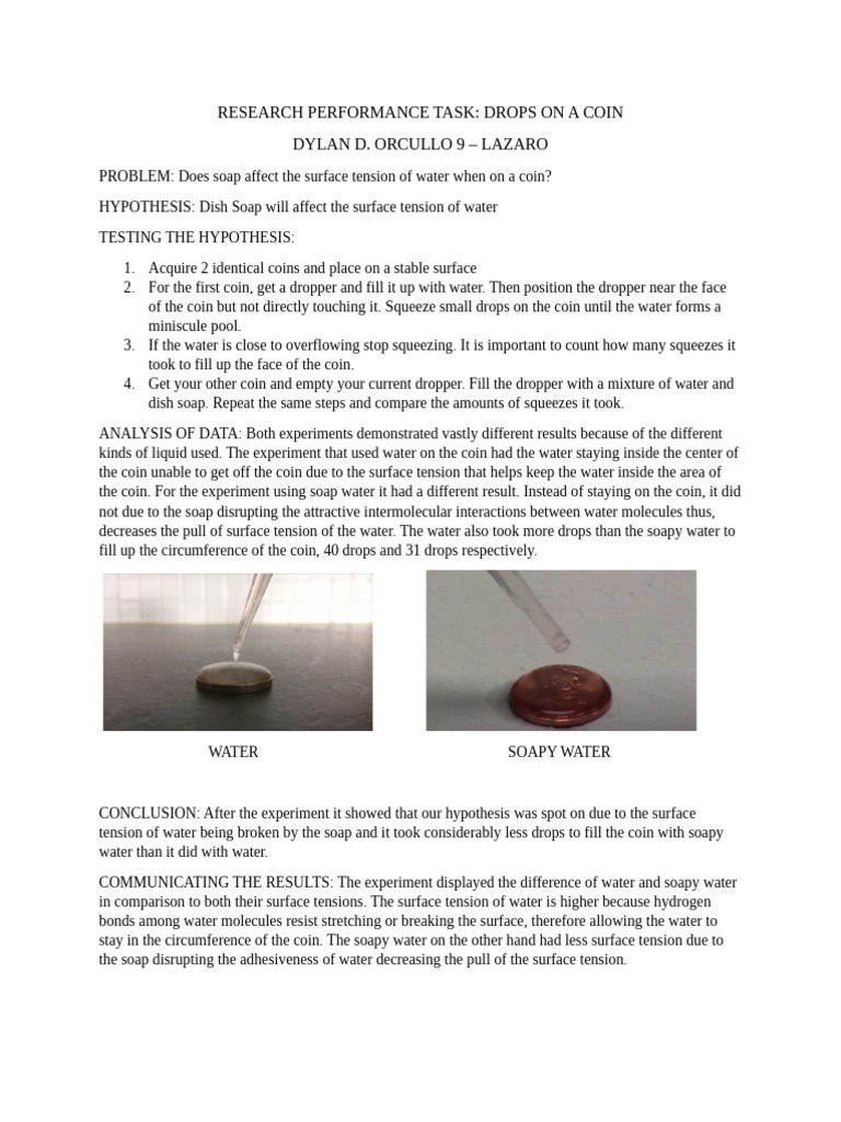 Research Performance Task | PDF