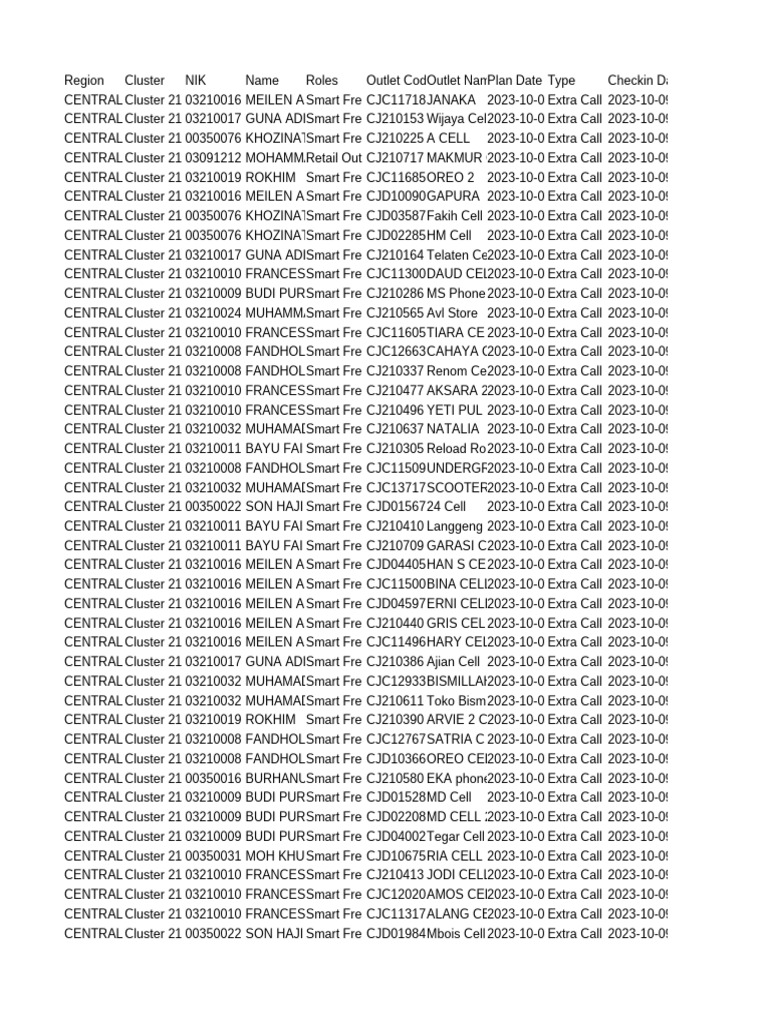 Report Daily Chek in Check Out | PDF