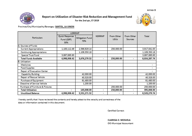 2019 Local Disaster Risk Reduction and Management Fund Utilization Form ...