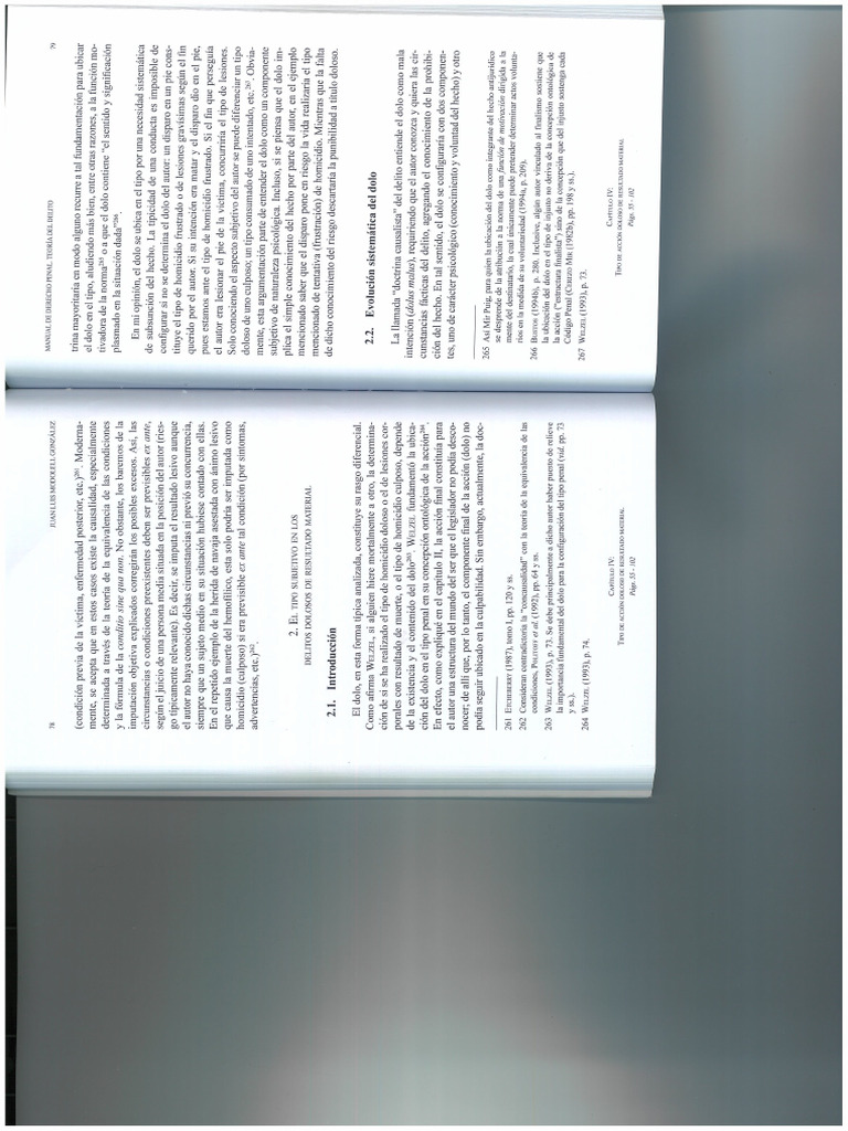 Modolell, Manual DOLO-ERROR, Pp. 78-102 | PDF