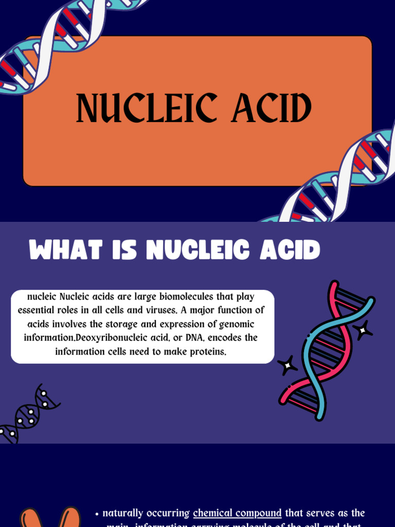 Nucleic Acid | PDF | Nucleic Acids | Dna