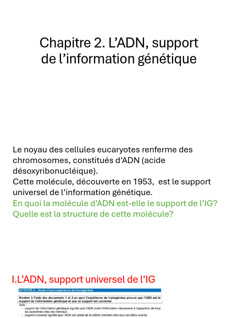 Chapitre ADN 1 | PDF