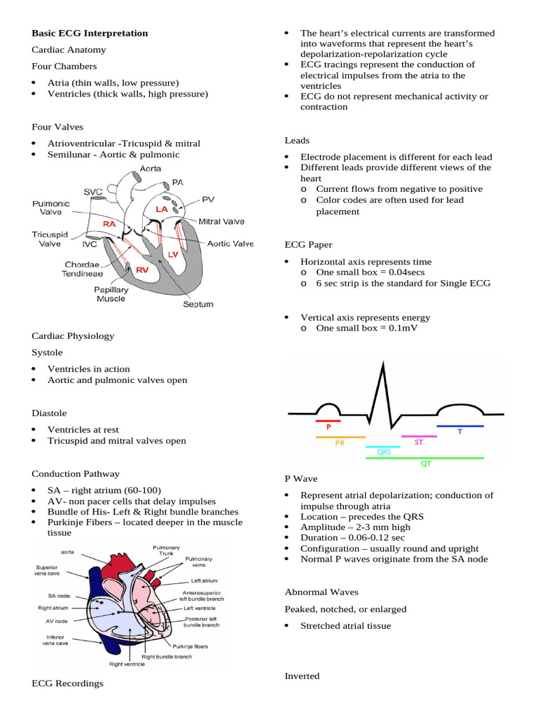 Basic ECG Interpretation | PDF