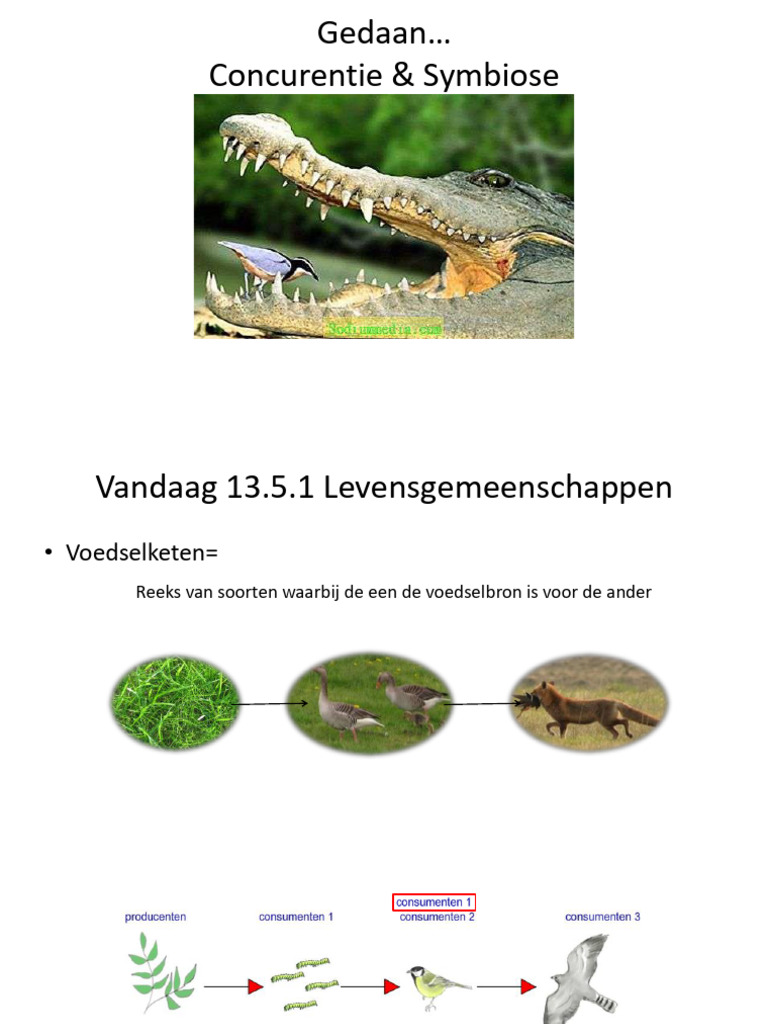 13.5.1 Voedselketen Voedselweb en Voedselkringloop | PDF