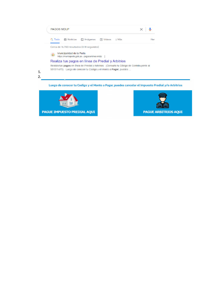 Manual Pago Web | PDF