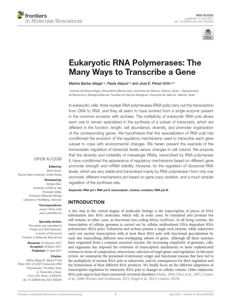 Eukaryotic RNA Polymerases: The Many Ways To Transcribe A Gene | PDF ...