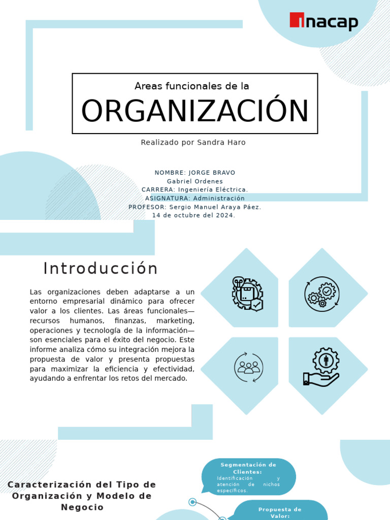 Areas Funcionales | PDF