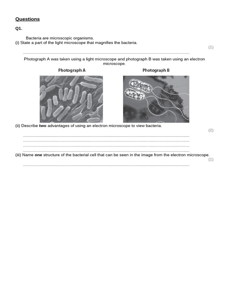 Topic 1 - Revision Questions With Answers (Part 1) | PDF