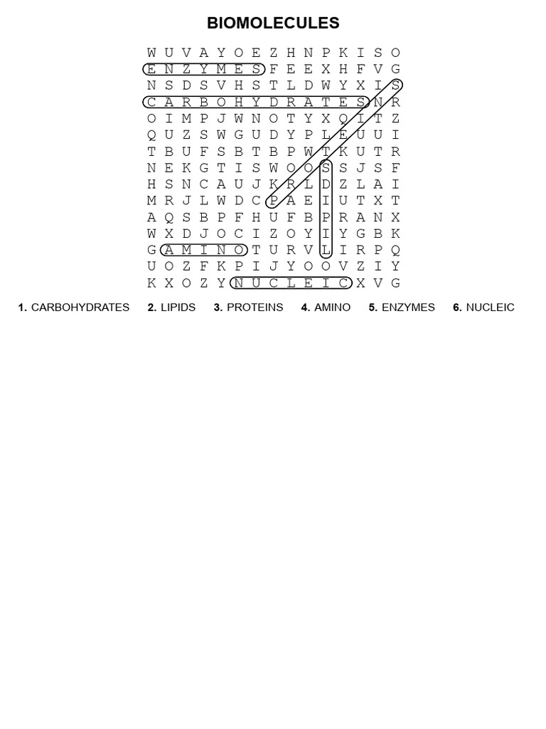 BIOMOLECULES - Word Search | PDF