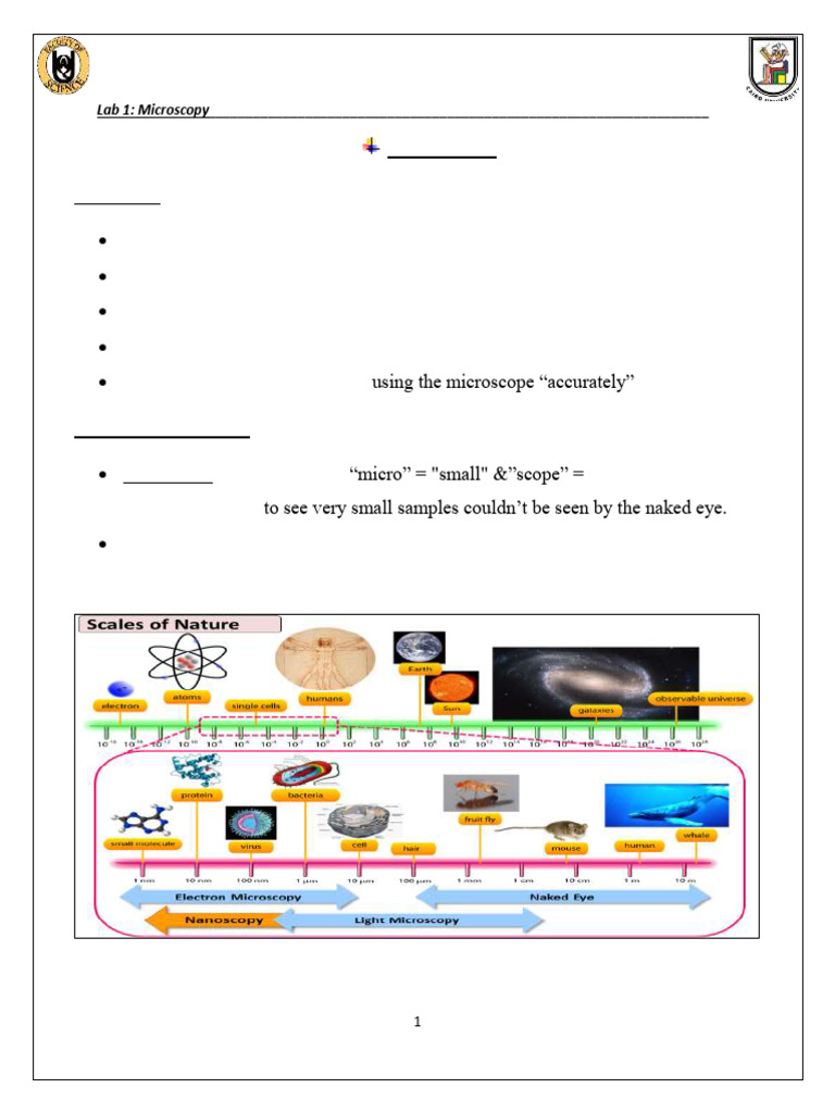 Lab1 Microscopy z211 | PDF